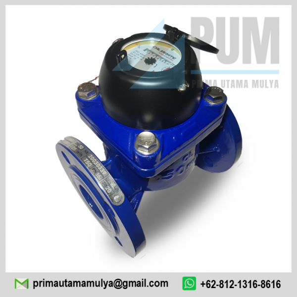 SEWAGE METER 2 INCH CALIBRATE LXXG TYPE DN50 - 2″ (50mm) - FLOW METER ...